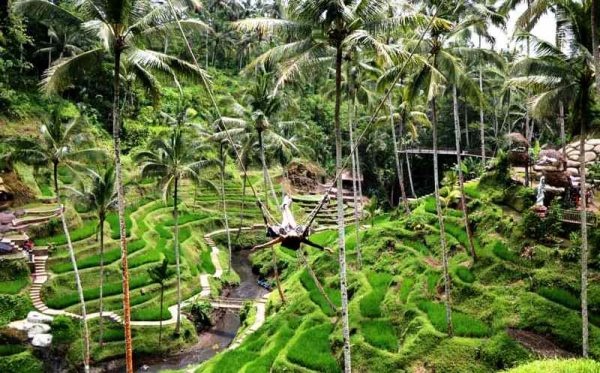 7 Wisata Ayunan di Bali, Spot Foto Instagenik Meski Harus Uji Nyali ...