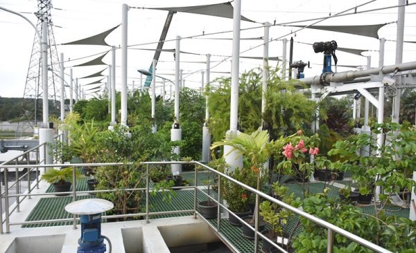 Destinasi Unik Di Karawang Ini Keren, Limbah Jadi Taman