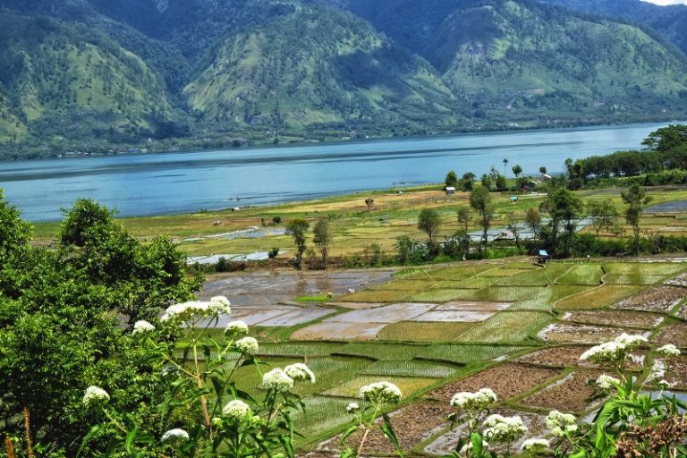 10 Wisata Dataran Tinggi di Indonesia yang Eksotis