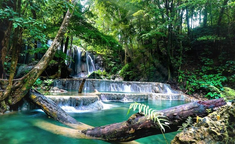 Pulau Moyo Sumbawa, Destinasi “Great Escape” Selebritas Dunia Seperti ...