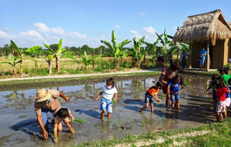 Yuk Belajar Pertanian di Wisata Subak TEBA Majalangu Denpasar Bali! - Turisian.com