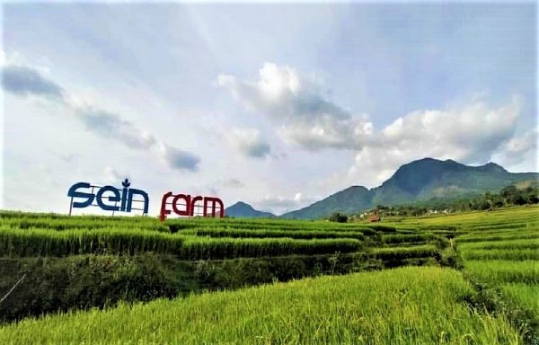 Yuk Wisata Sambil Belajar Berkebun dan Beternak di SEIN Farm Bandung ...