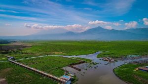 Jembatan Biru Tuntang Semarang, Wisata Selfie dengan Panorama Memukau ...