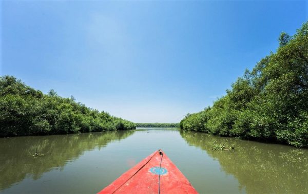 Serunya Menjelajahi Ekowisata Mangrove Gunung Anyar Surabaya - Turisian.com