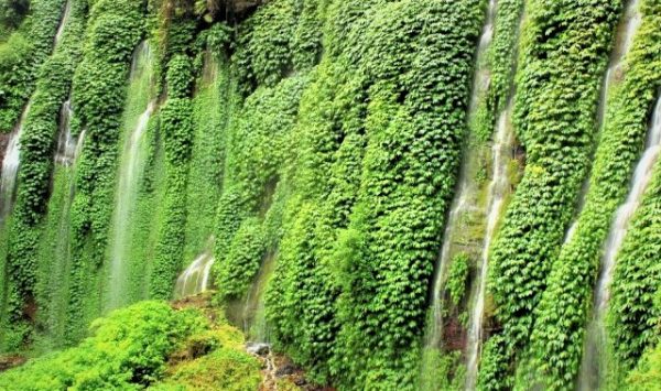 Keindahan Coban Sumber Pitu di Malang yang Memukau - Turisian.com