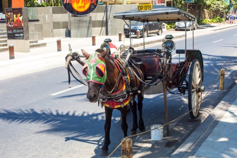 Wisatawan Bisa Naik Dokar Hias Gratis di Bali, Ini Syaratnya