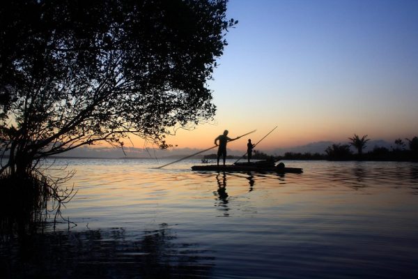 Sensasi Jelajah Hutan Mangrove Baros Bantul Yogyakarta - Turisian.com