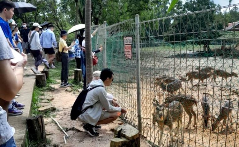 Baru Diresmikan Omset Taman Rusa Sekupang Rp 2,7 Miliar