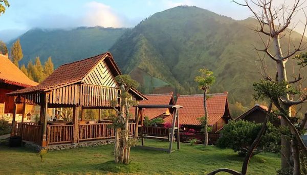 Cantiknya Pemandangan Destinasi Bawangan Bromo
