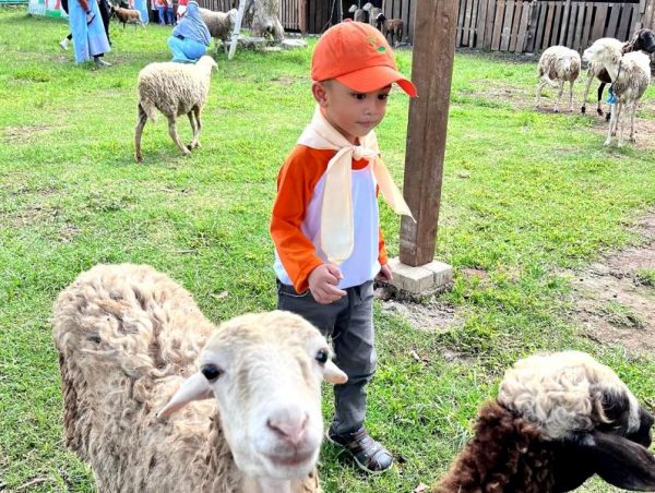 Wisata Edukasi Sui Farm, Bisa Ajak Anak Interaksi dengan Hewan