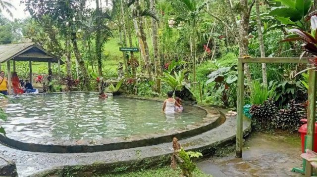 Menikmati Terasering Sawah yang Memukau di Desa Wisata Jatiluwih Bali - Turisian.com