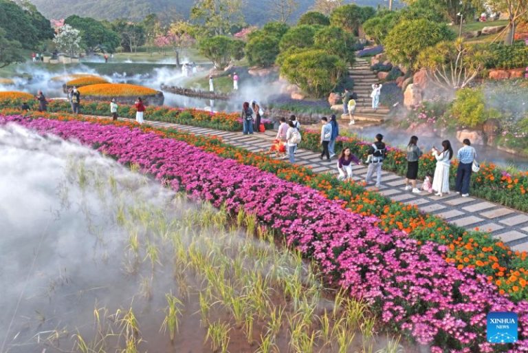 Wisata Bunga di Gunung Qingxiu Nanning Viral, Lanskap Menawan