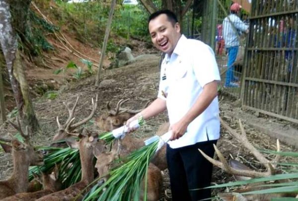 Taman Penangkaran Rusa Kembali Dibuka