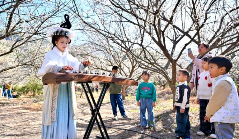Festival Bunga Premtis Tahunan Dimulai di Perbukitan Yongtai